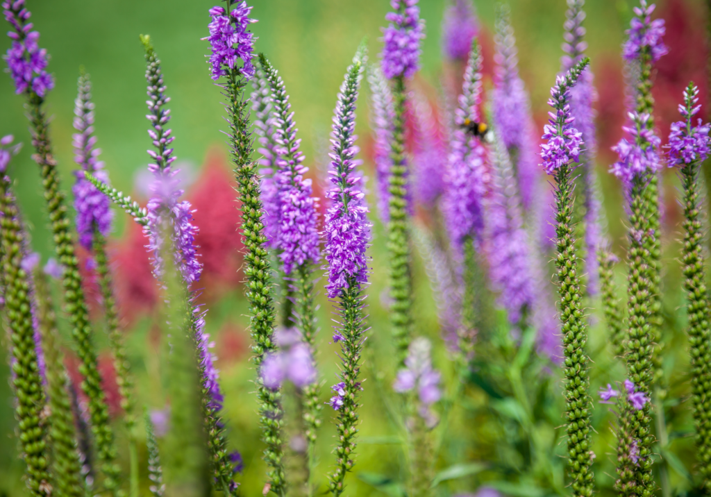 List of RJC Approved Auditors • Responsible Jewellery Council